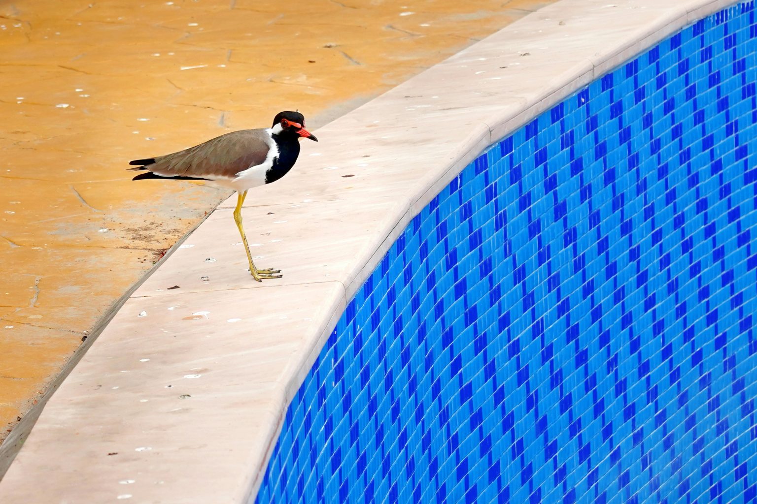 13 Creative Spool Pool Ideas For You To Recreate